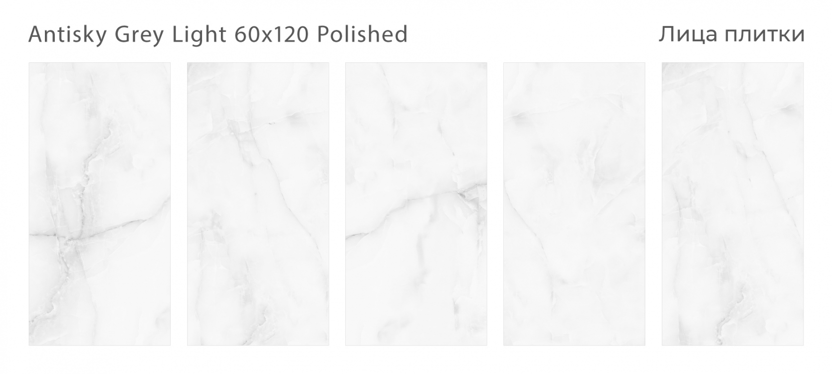 Плитка Antisky Grey light 60x120 Polished купить | Цена